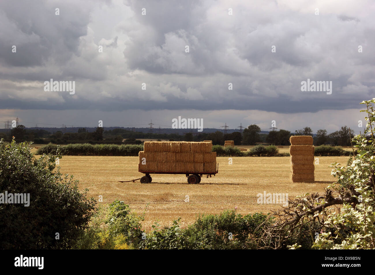 Harvested hay bales on trailer in English countryside Stock Photo - Alamy