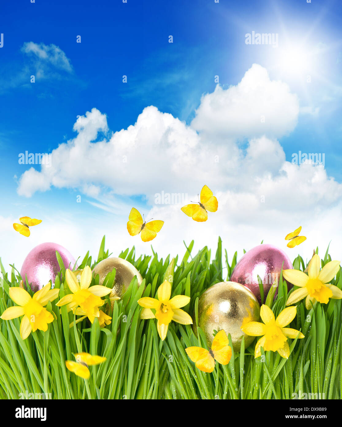 flower field with narcissus and easter eggs in green grass. spring ...