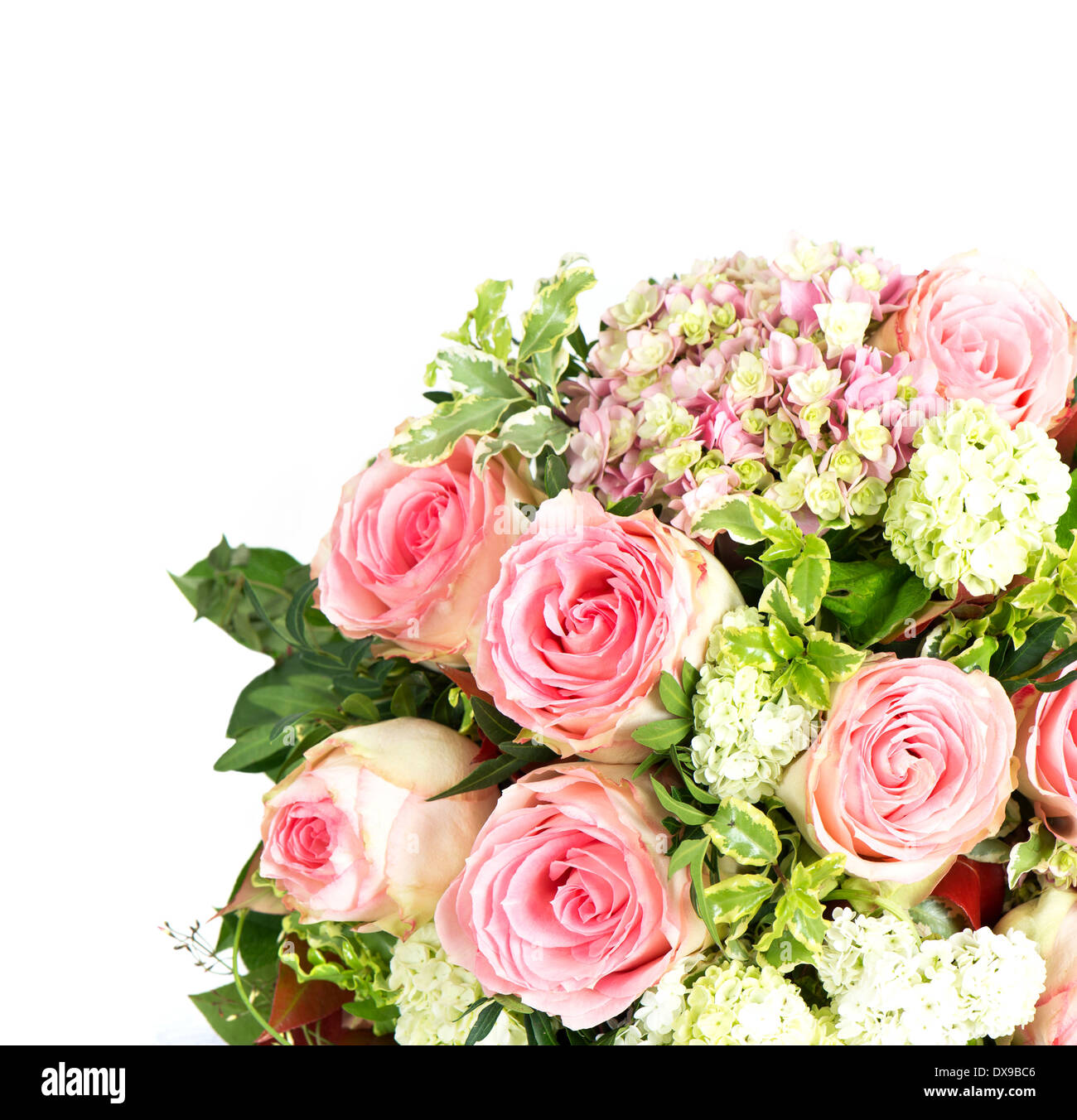 bouquet of pink roses over white background. soft flowers Stock Photo ...