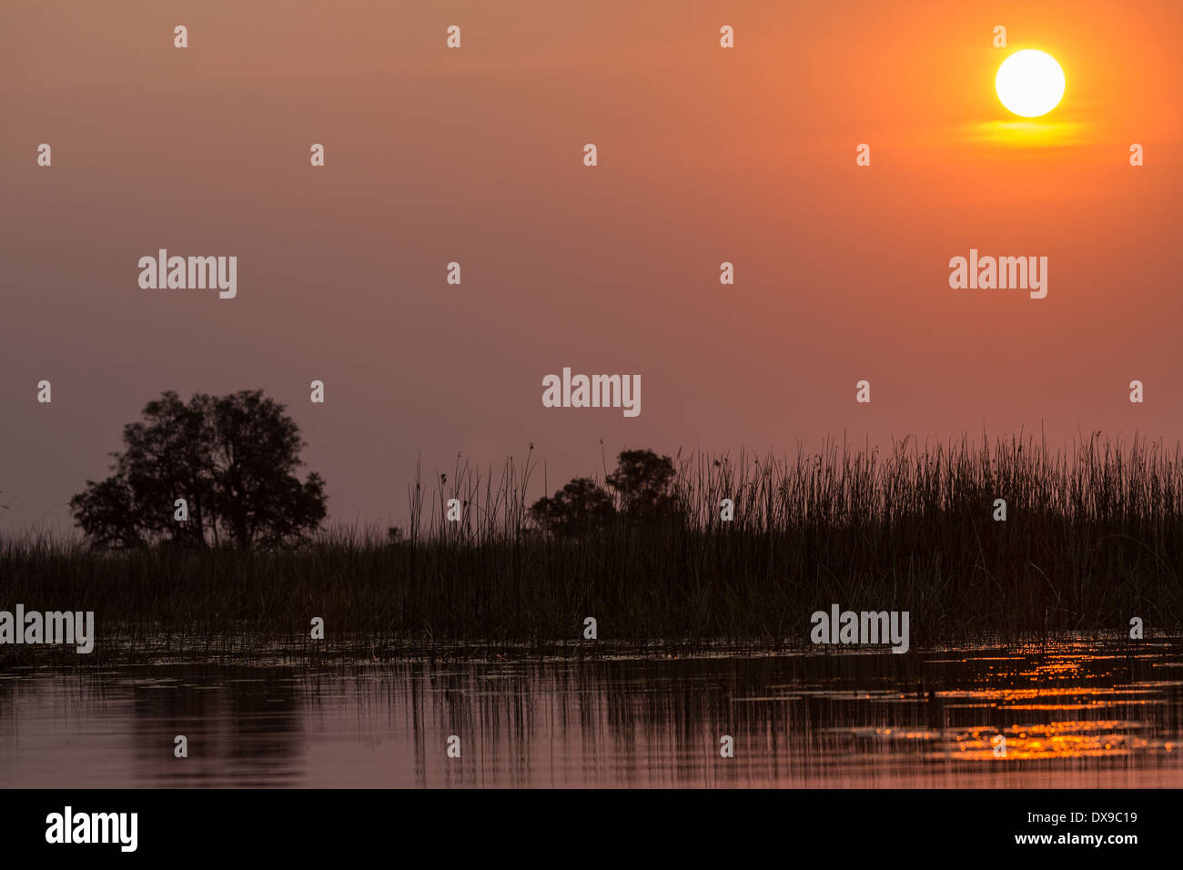 Beautiful african sunset Stock Photo - Alamy