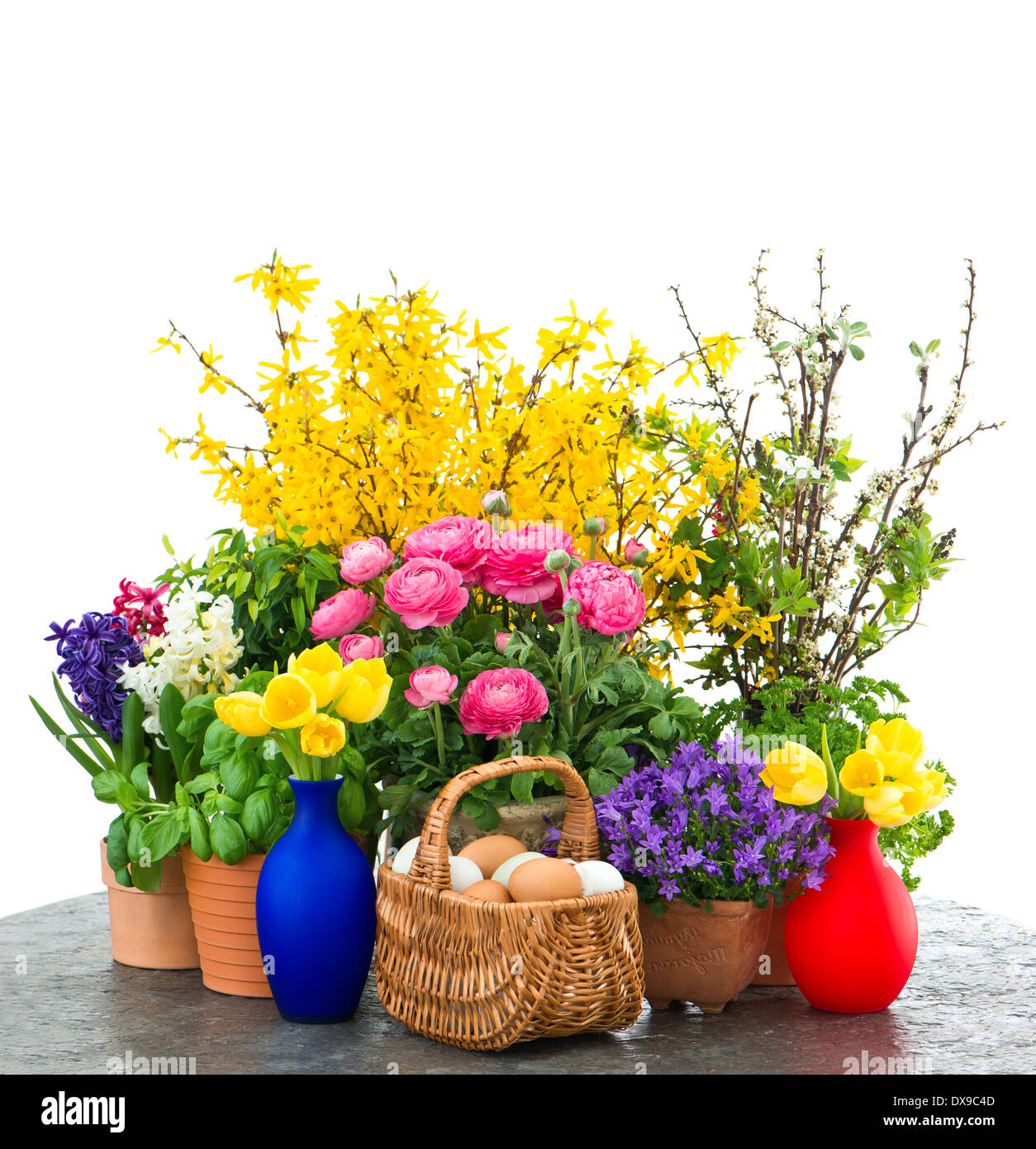 colorful spring flowers and easter eggs decoration. ranunculus ...