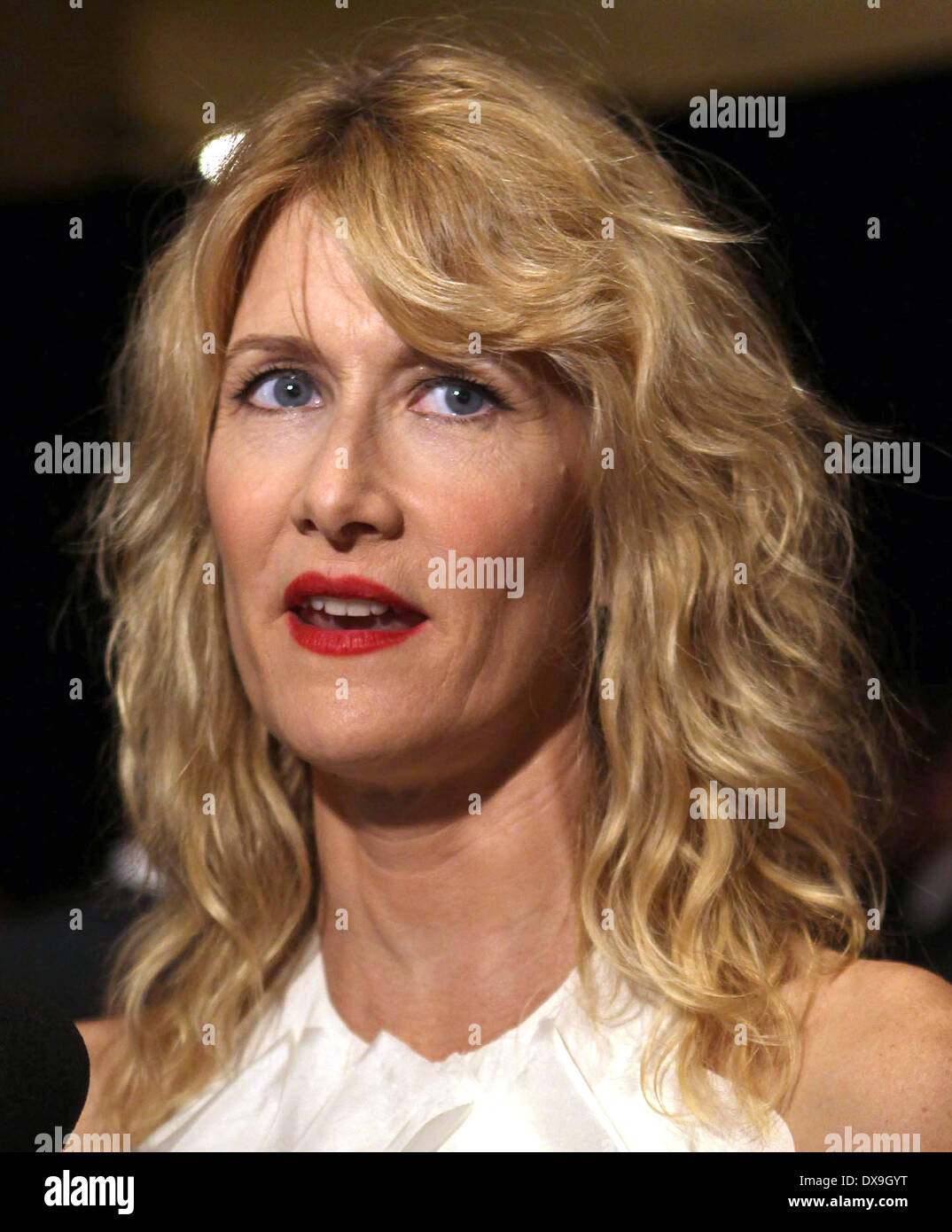 Laura Dern 26th American Cinematheque Award Gala honoring Ben Stiller ...