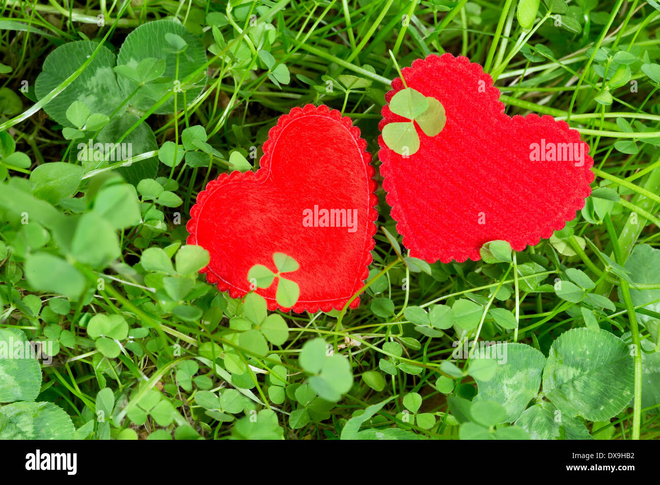 Grass hearts hi-res stock photography and images - Alamy