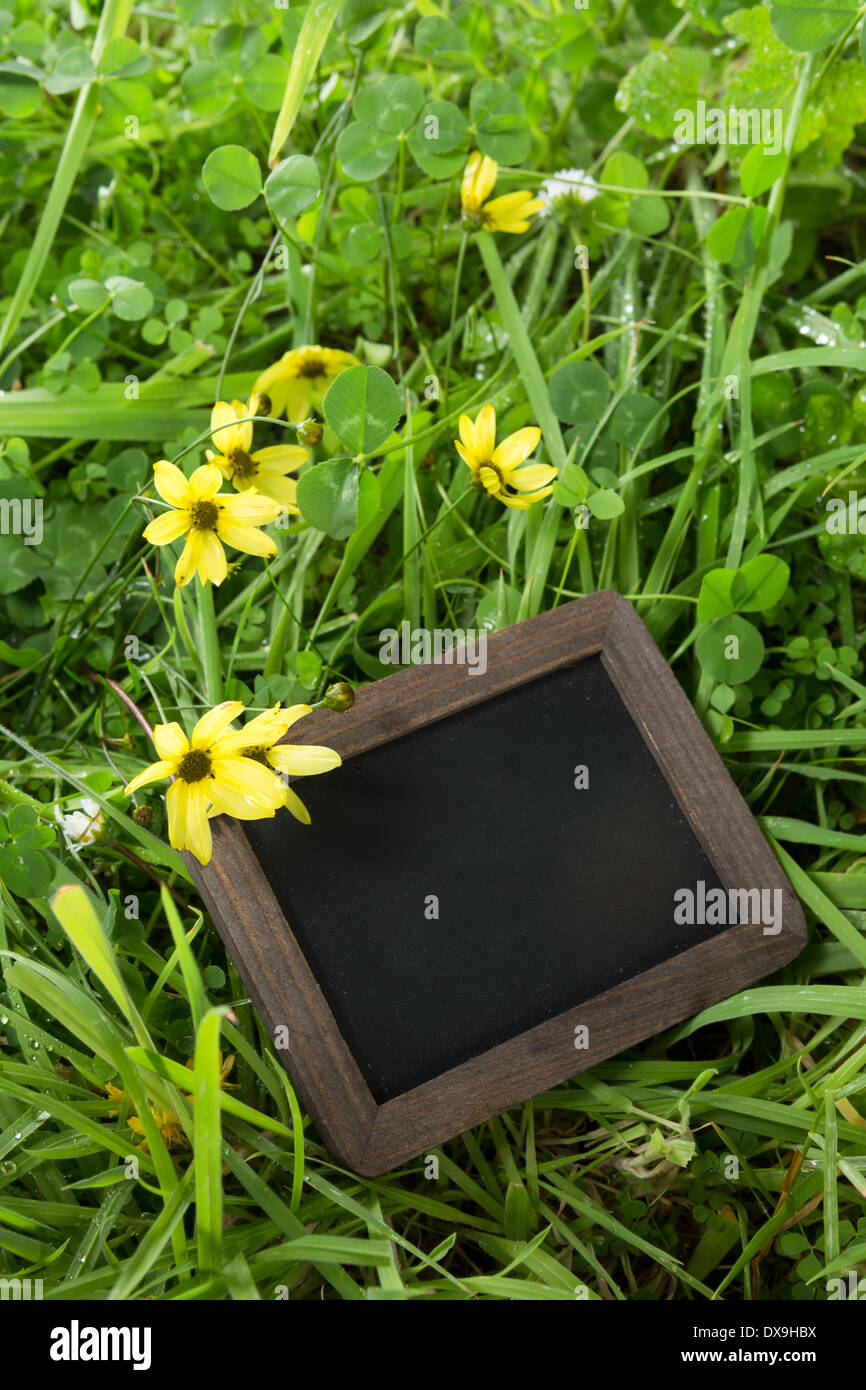 Blank text field hi-res stock photography and images - Alamy