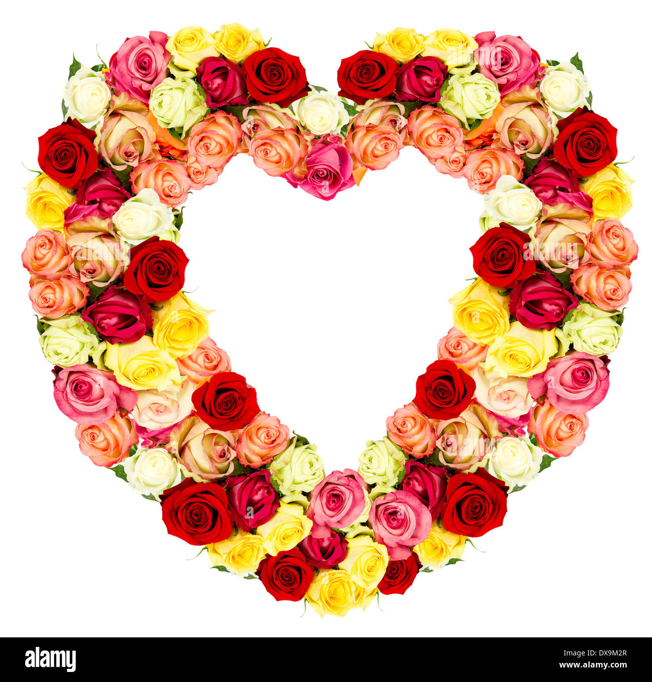 roses flower shaped HEART isolated on white background Stock Photo - Alamy