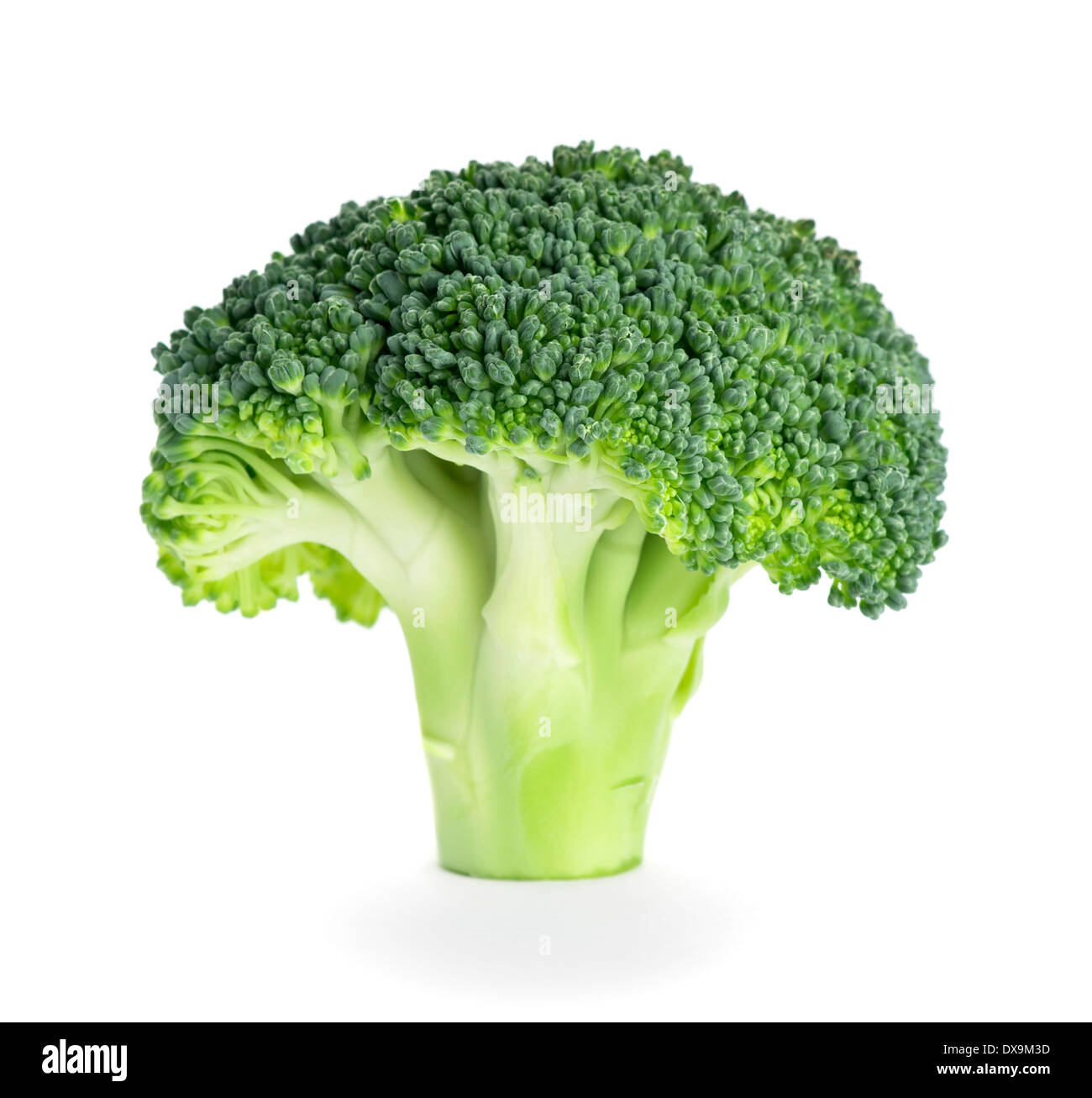Broccoli single objects vegetables hi-res stock photography and images ...