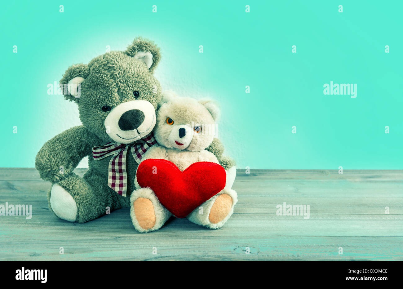 Cute teddy couple store
