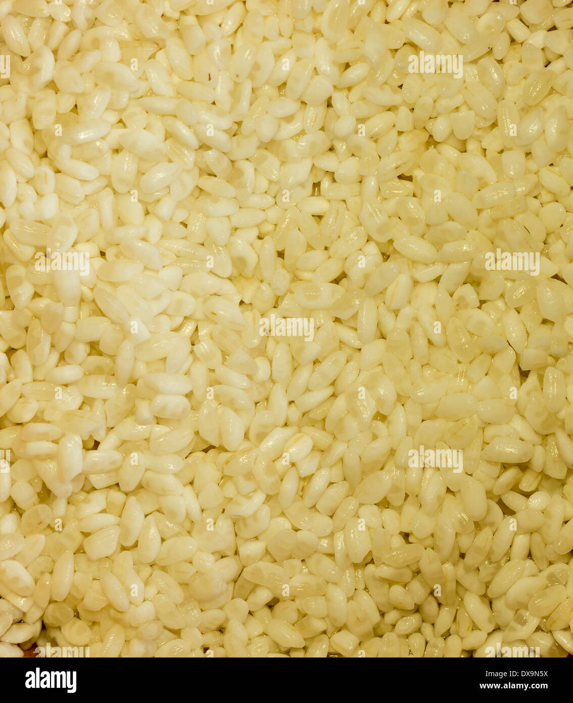 Cooked white rice background Stock Photo - Alamy