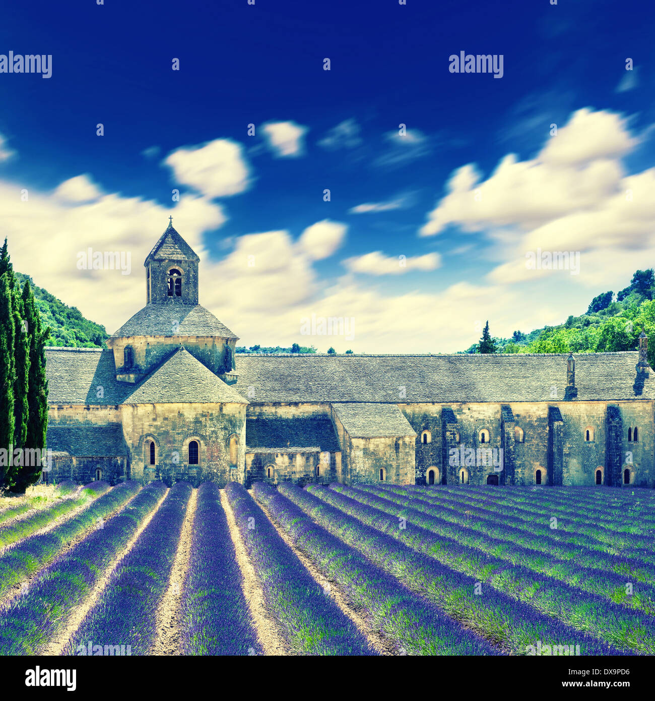 Blue lavanda hi-res stock photography and images - Alamy