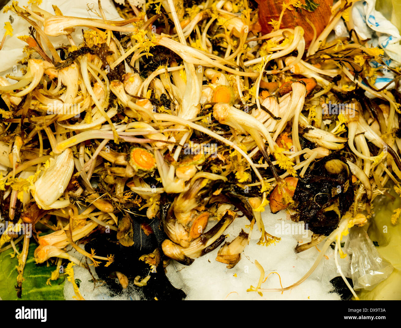 Mullock hi-res stock photography and images - Alamy