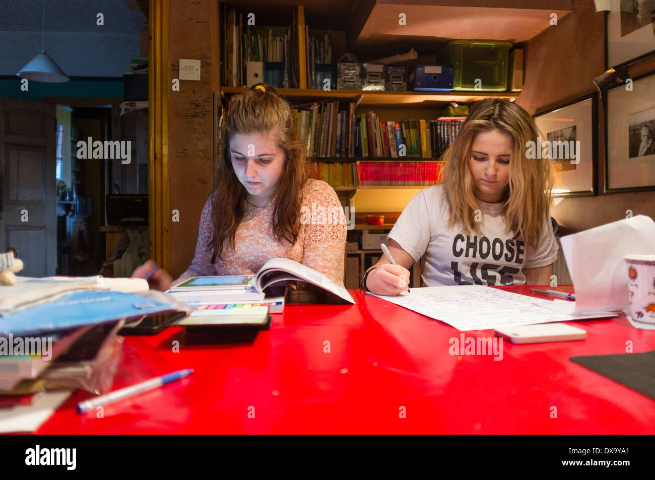 Teenage girls - sisters - doing writing their school college homework ...