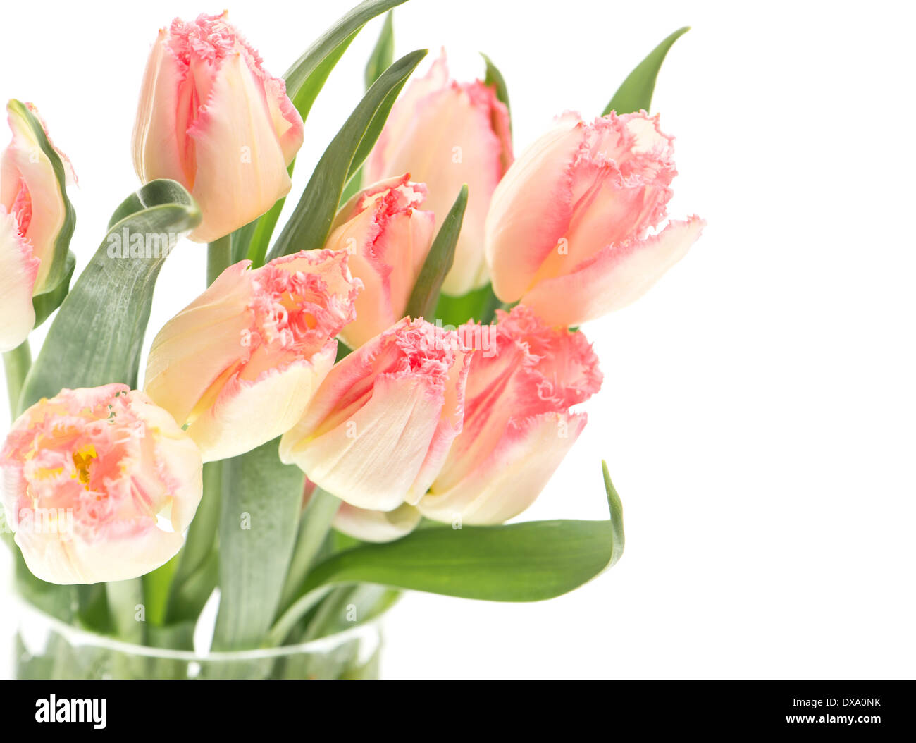 Soft spring hi-res stock photography and images - Alamy