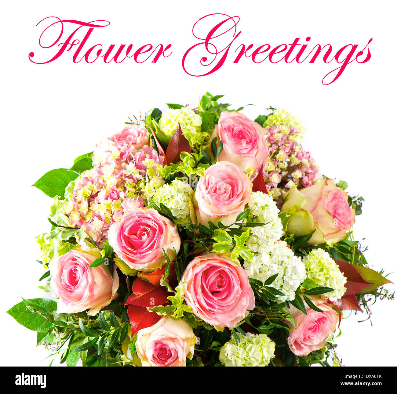 colorful flowers bouquet. pink roses. flower greetings. card concept ...