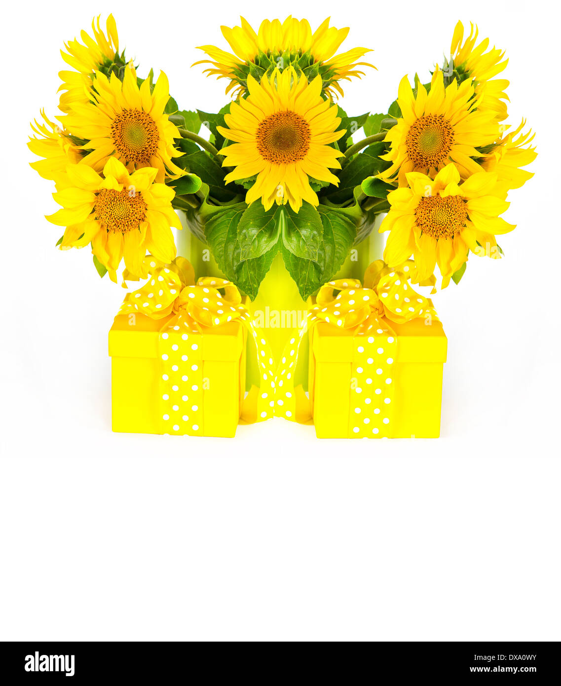 beautiful sunflower with gift box Stock Photo - Alamy
