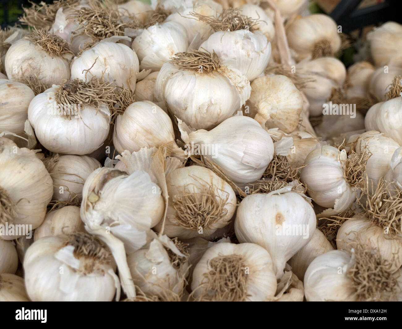 Street market - garlic Stock Photo - Alamy