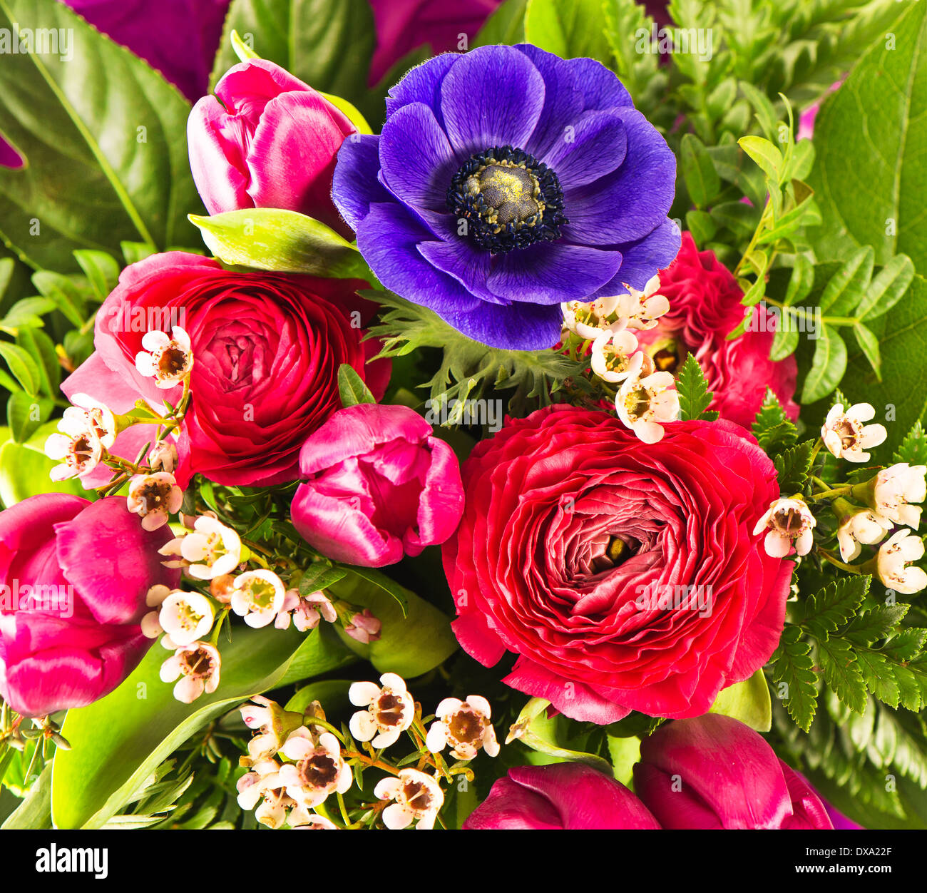 colorful flowers bouquet Stock Photo - Alamy