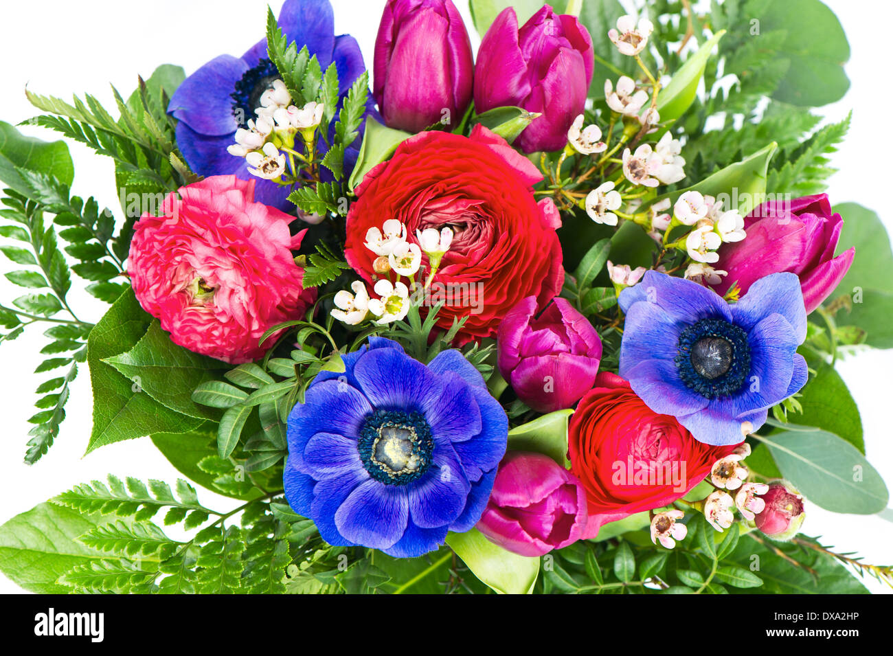 colorful spring flowers bouquet Stock Photo - Alamy