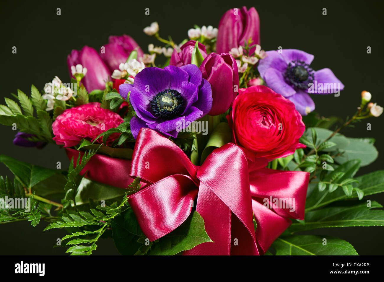 colorful spring flowers Stock Photo - Alamy