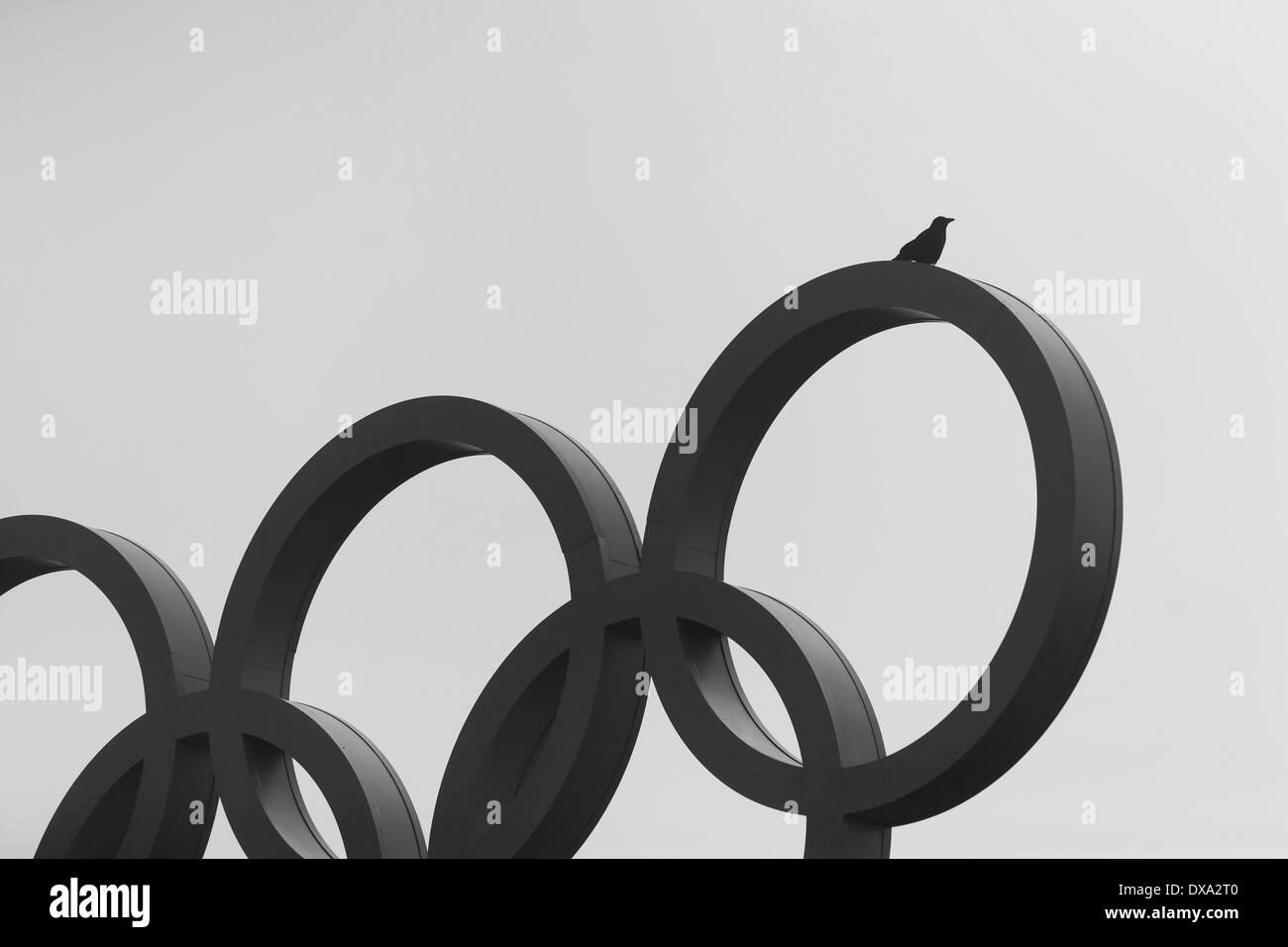 Olympic Rings Black And White