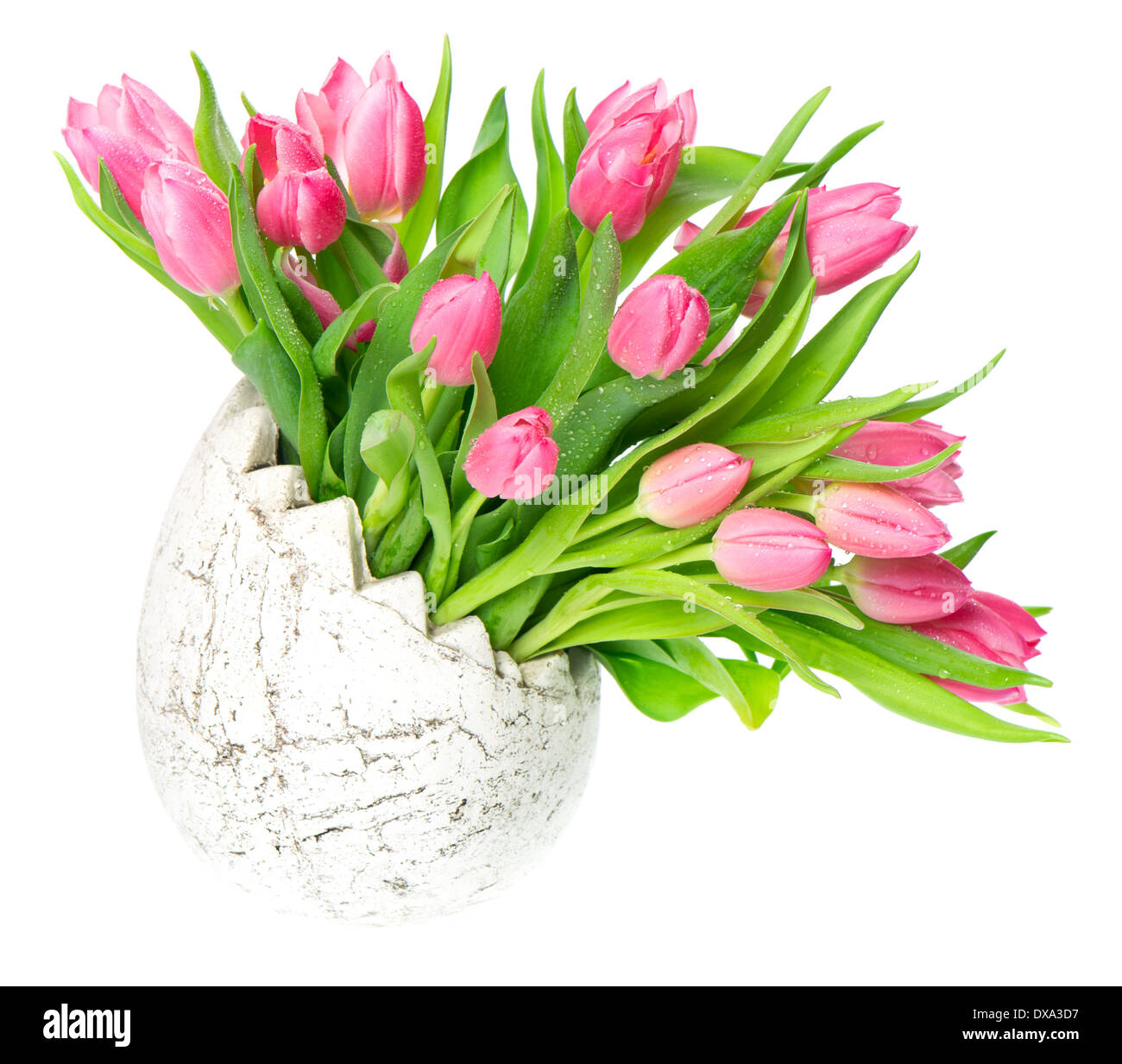 beautiful pink tulips in the easter egg vase. spring flowers with water ...