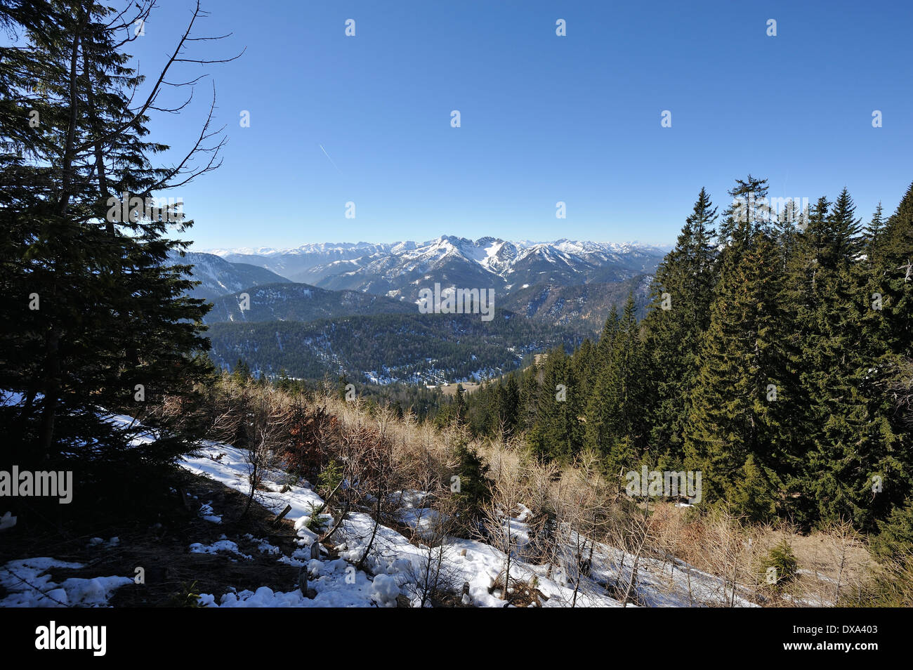 Bavarian Alpine panorama between conifers in winter, Bavaria, Germany ...