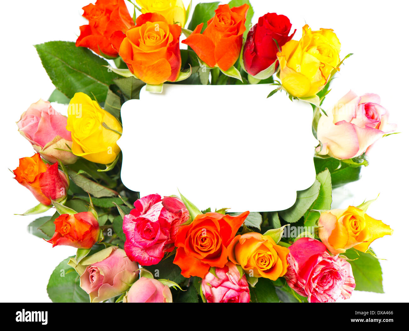 beautiful multicolored roses bouquet Stock Photo - Alamy