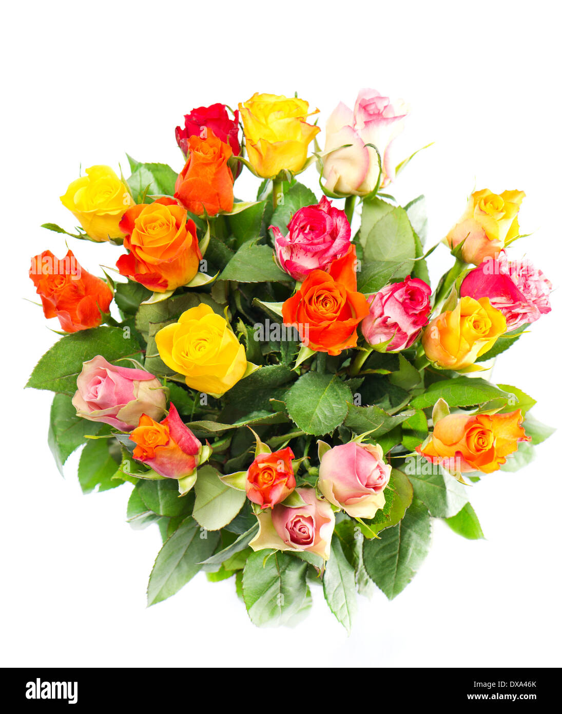 multicolor roses bouquet isolated Stock Photo - Alamy