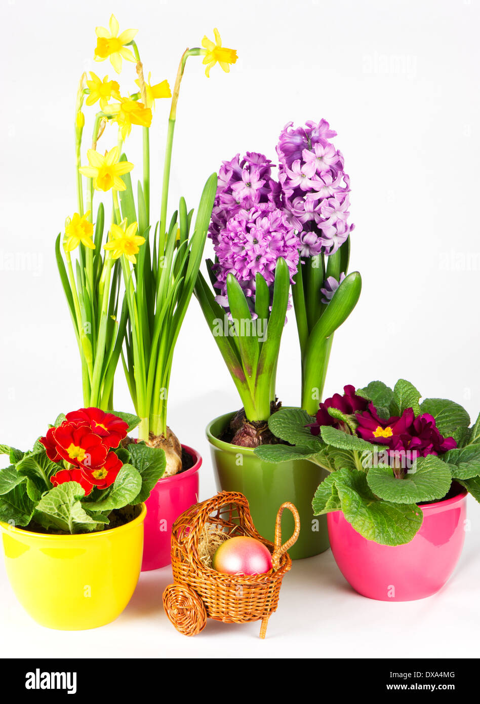 Beautiful flower composition Cut Out Stock Images & Pictures - Alamy