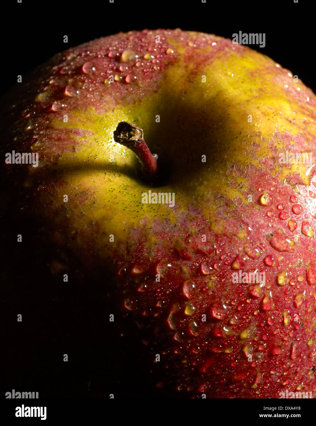 detail of a wet red apple in dark back Stock Photo - Alamy