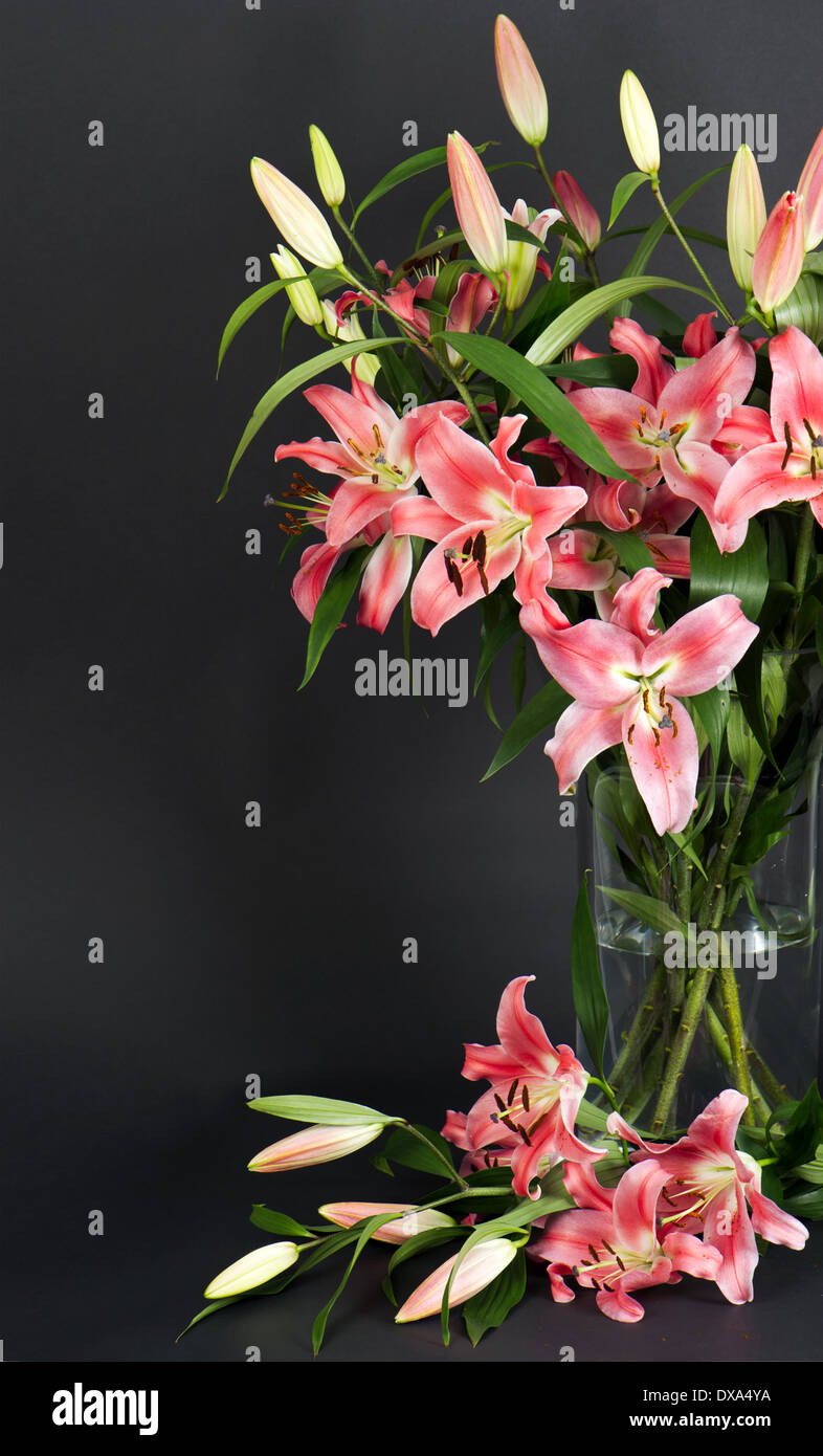 Lili flower hi-res stock photography and images - Alamy