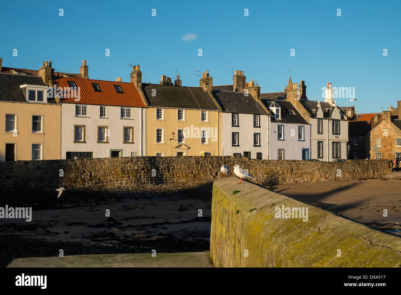 anstruther harbour harbor town scotland uk Stock Photo - Alamy