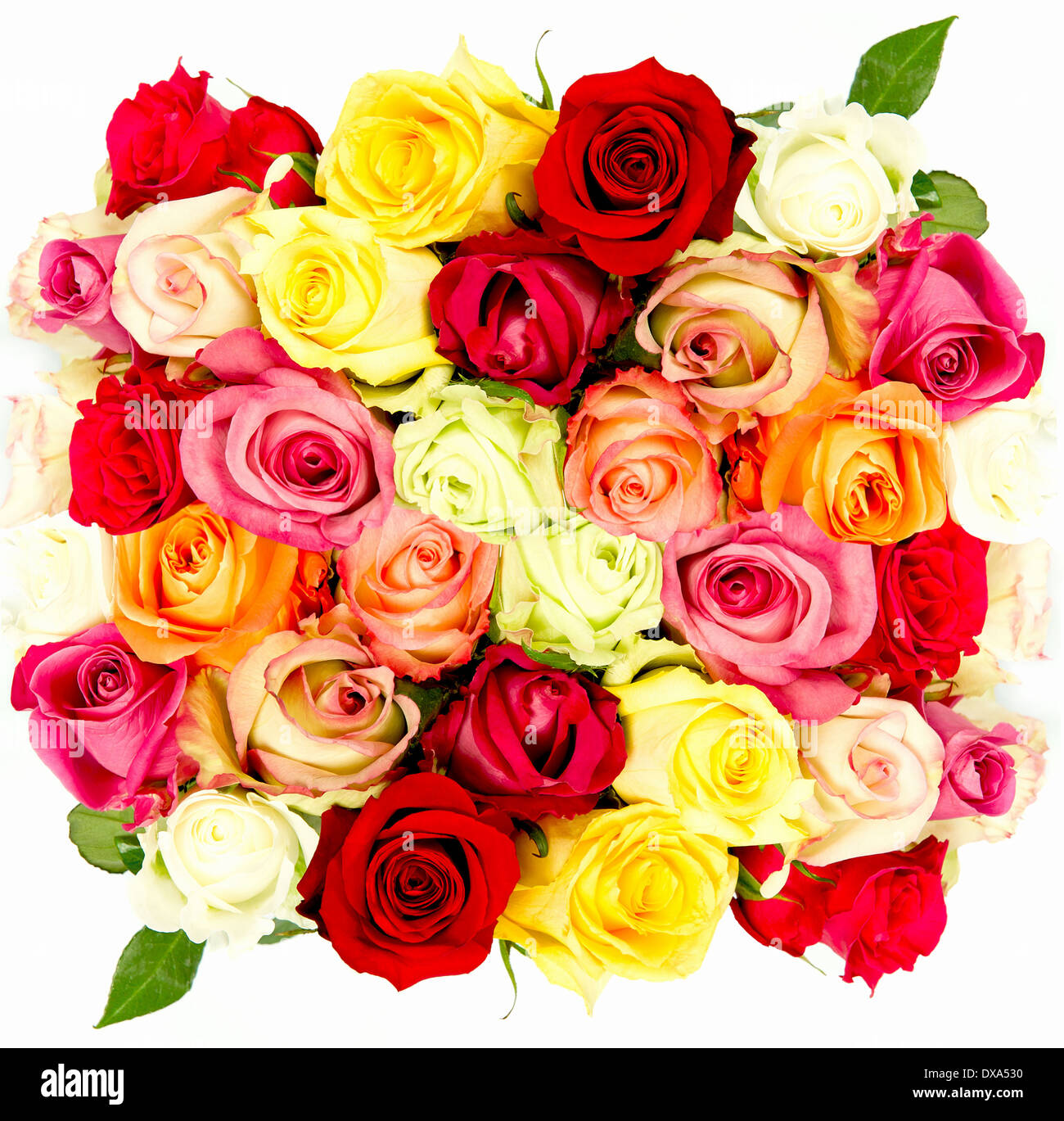 colorful roses, beautiful flower bouquet Stock Photo - Alamy