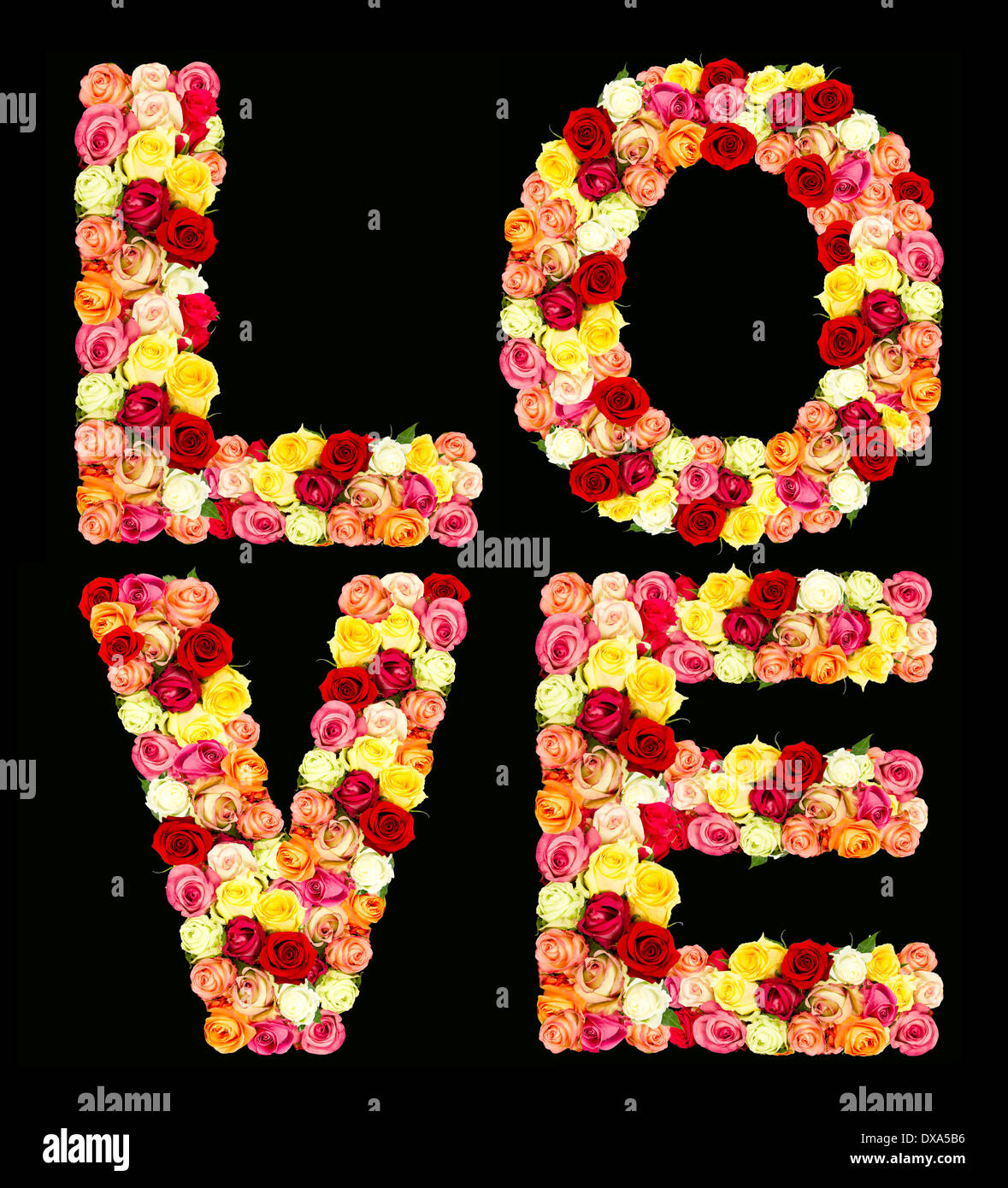 Letter l plant hi-res stock photography and images - Alamy