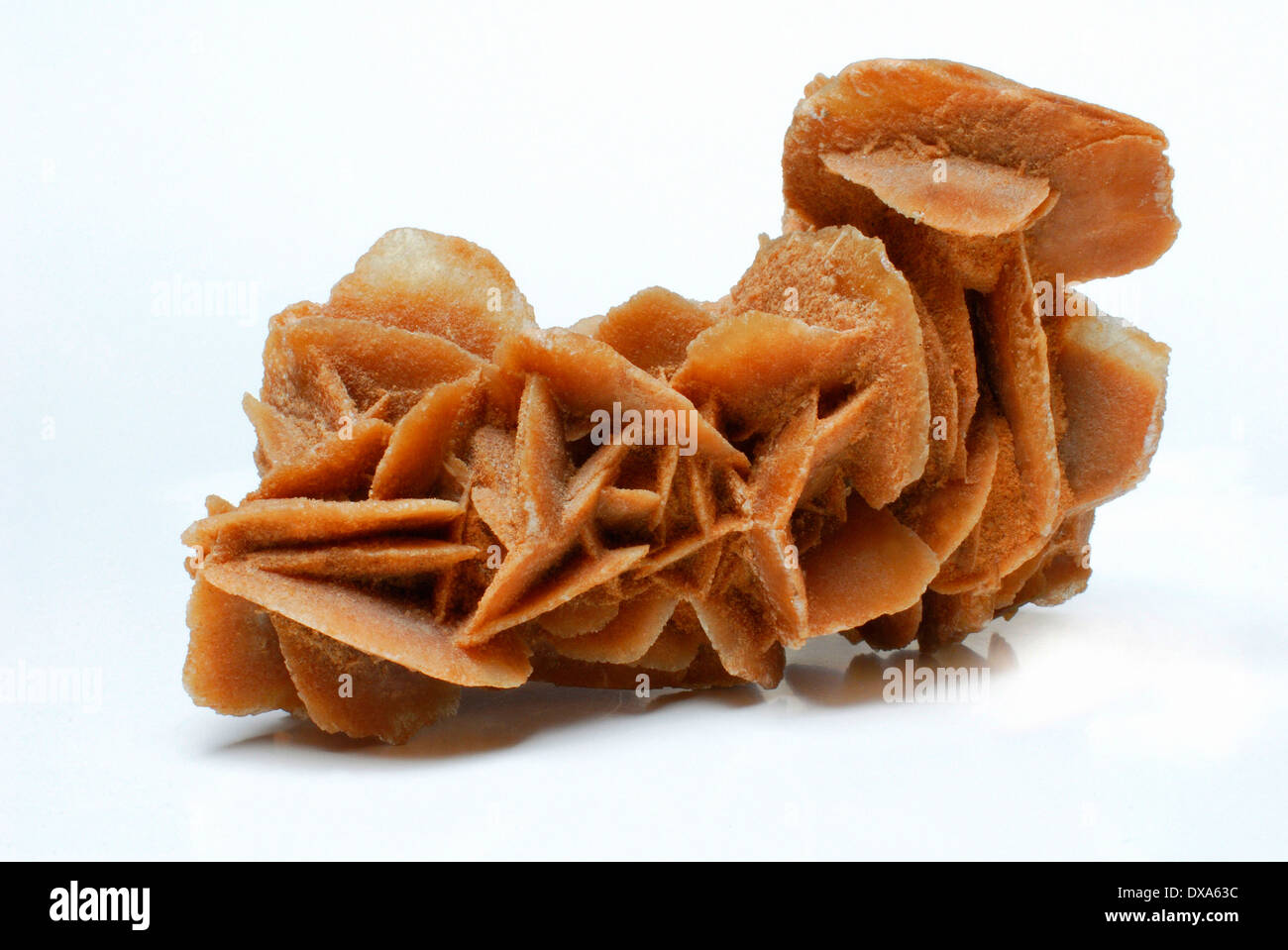 Sand rose hi-res stock photography and images - Alamy