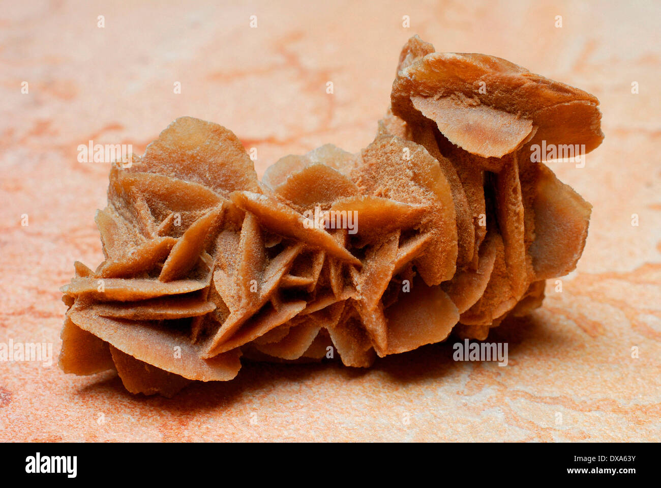 Rose Sand High Resolution Stock Photography and Images - Alamy