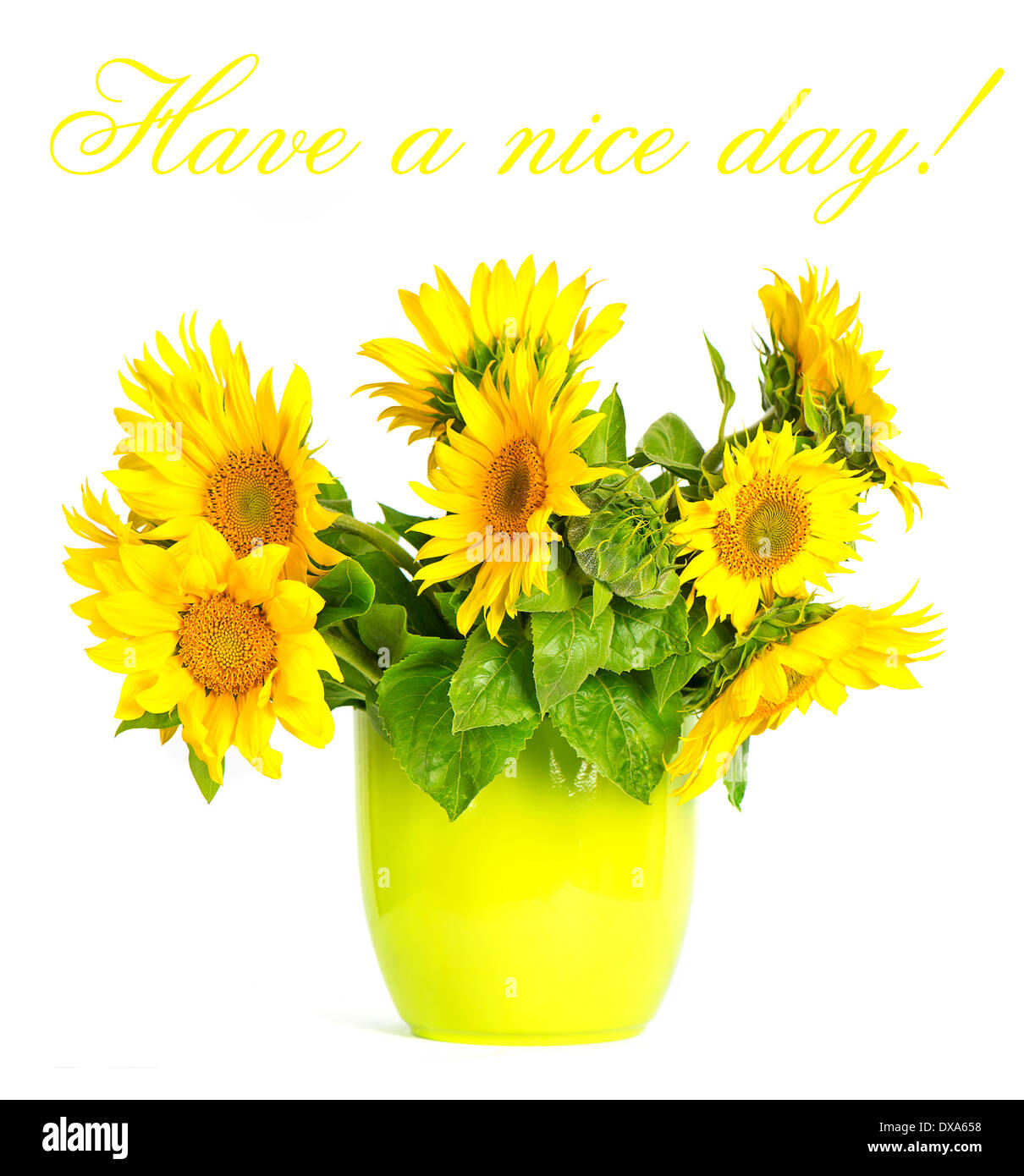 Botanical invitation card Cut Out Stock Images & Pictures - Alamy