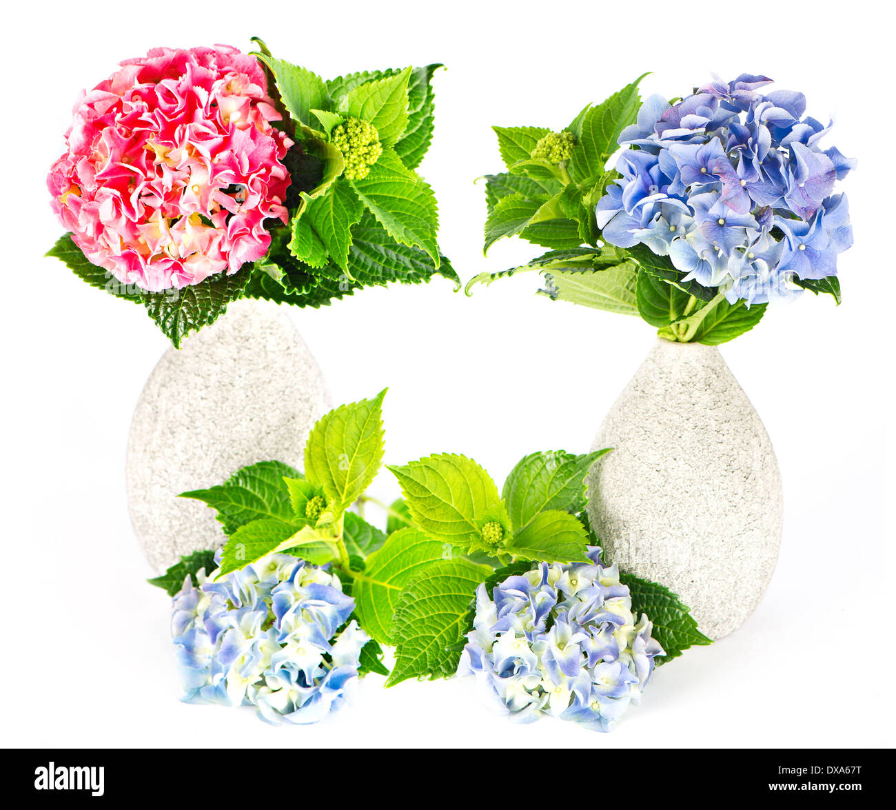 Springtime flower festival in Cut Out Stock Images & Pictures - Alamy