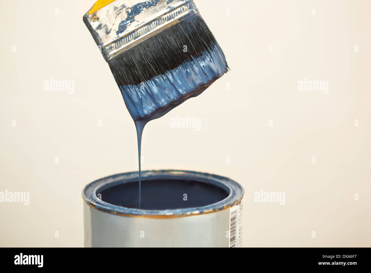 Loaded Paintbrush after dipping it into bucket Stock Photo - Alamy