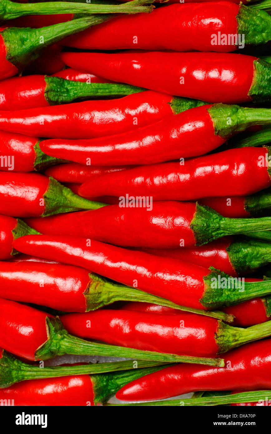 Piri piri chilis hi-res stock photography and images - Alamy