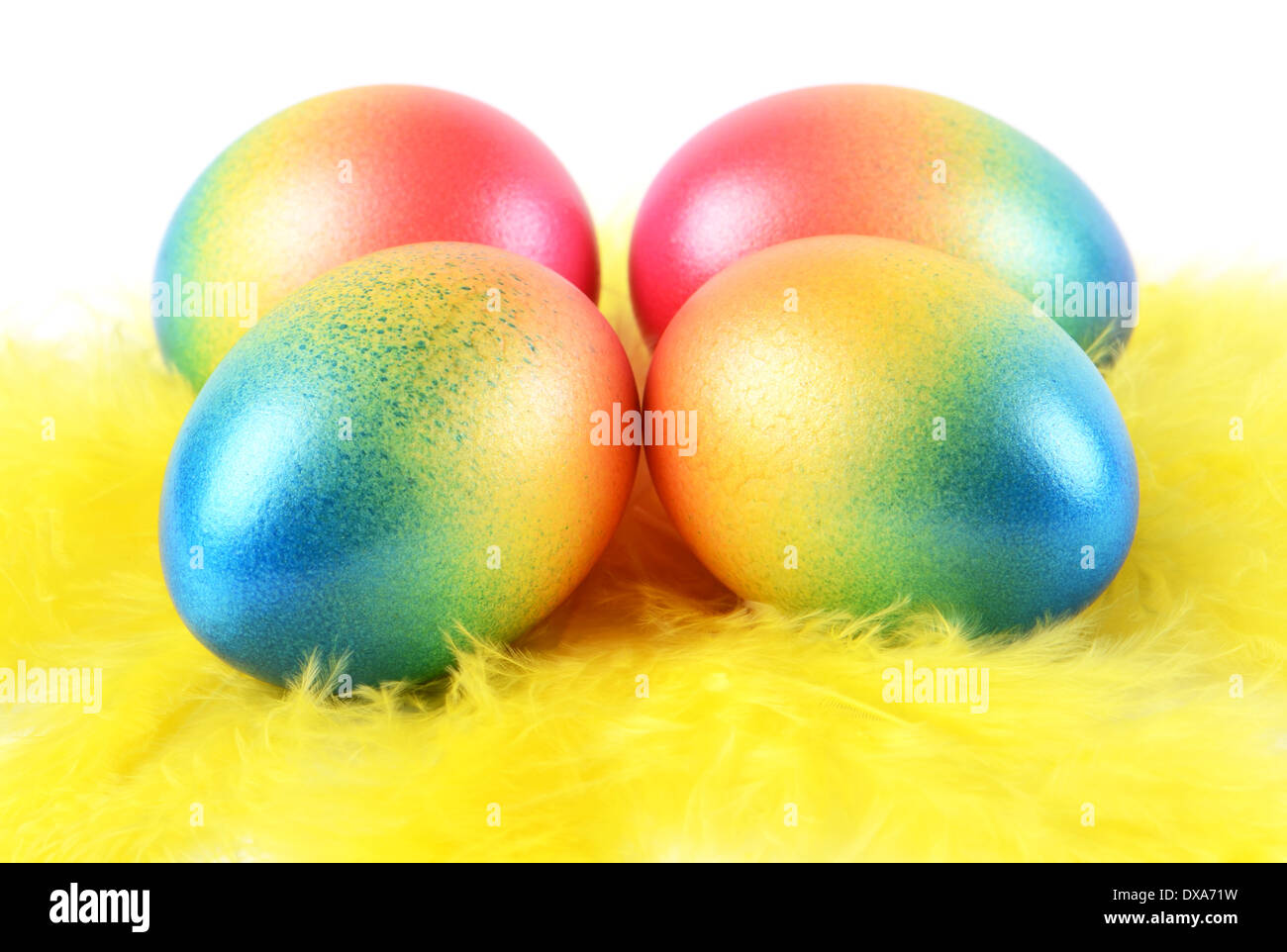 Pink and yellow birds hi-res stock photography and images - Alamy