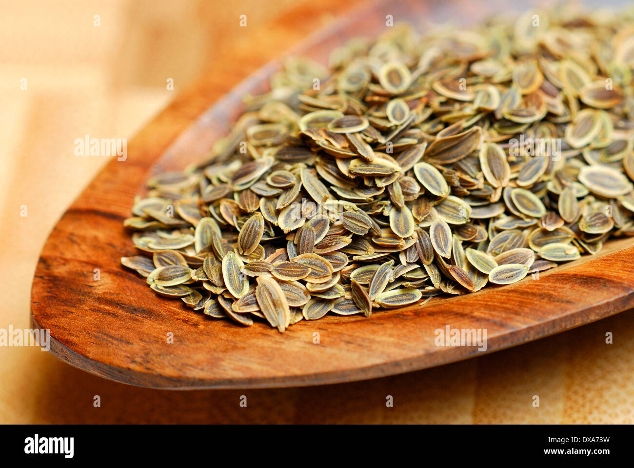 Dill hi-res stock photography and images - Alamy