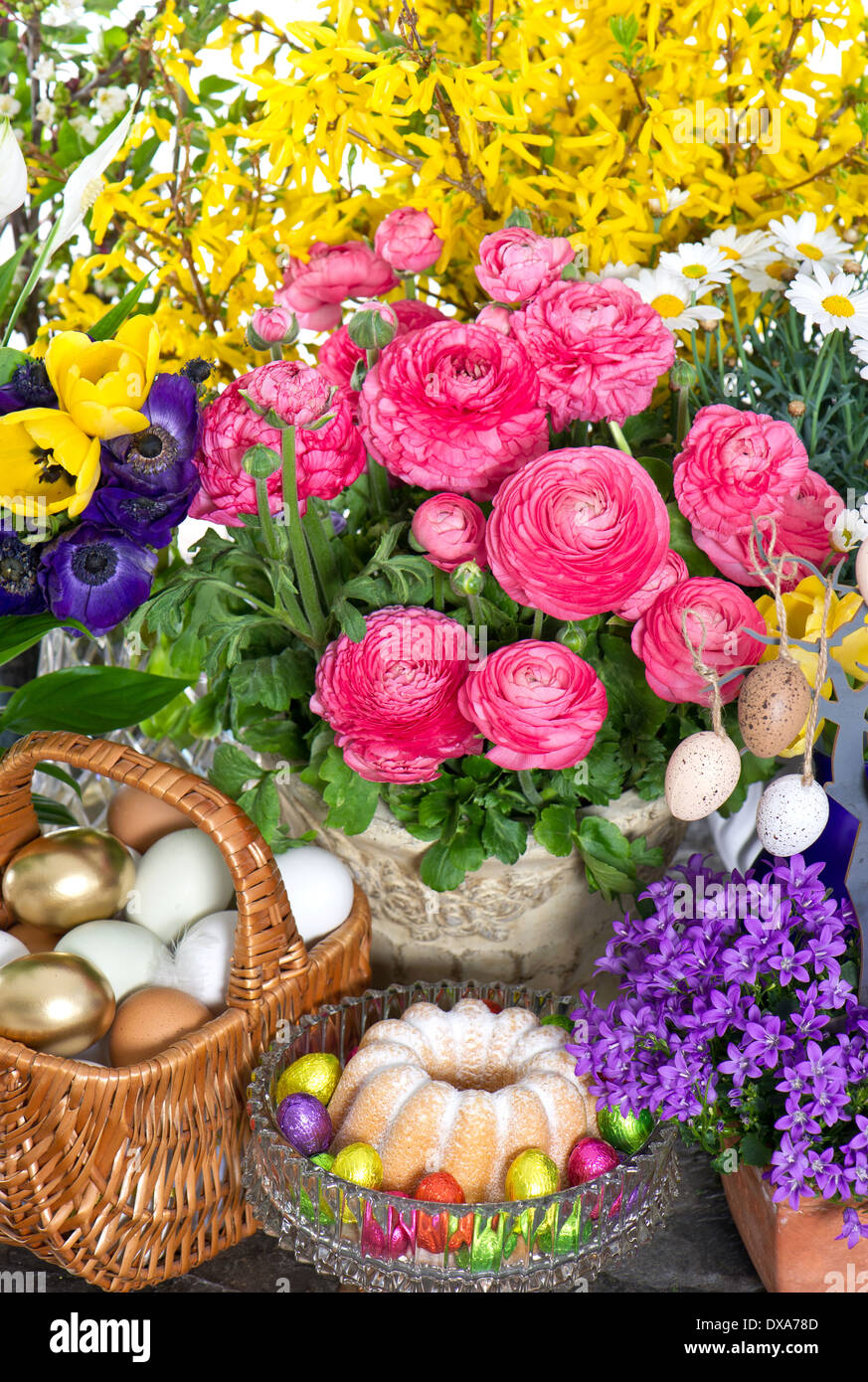 Beautiful purple spring easter anemone hi-res stock photography and ...