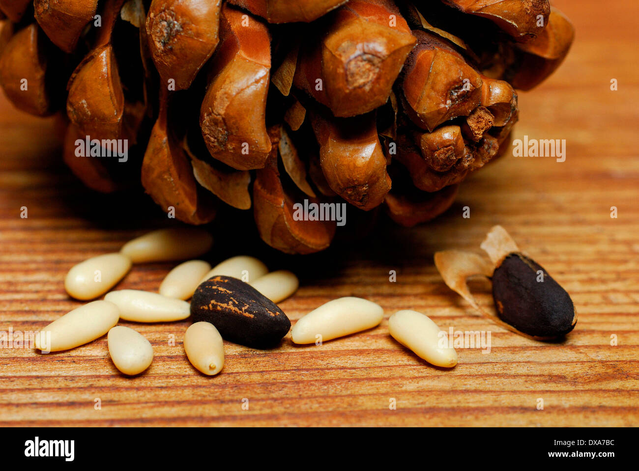Nut pine hi-res stock photography and images - Alamy
