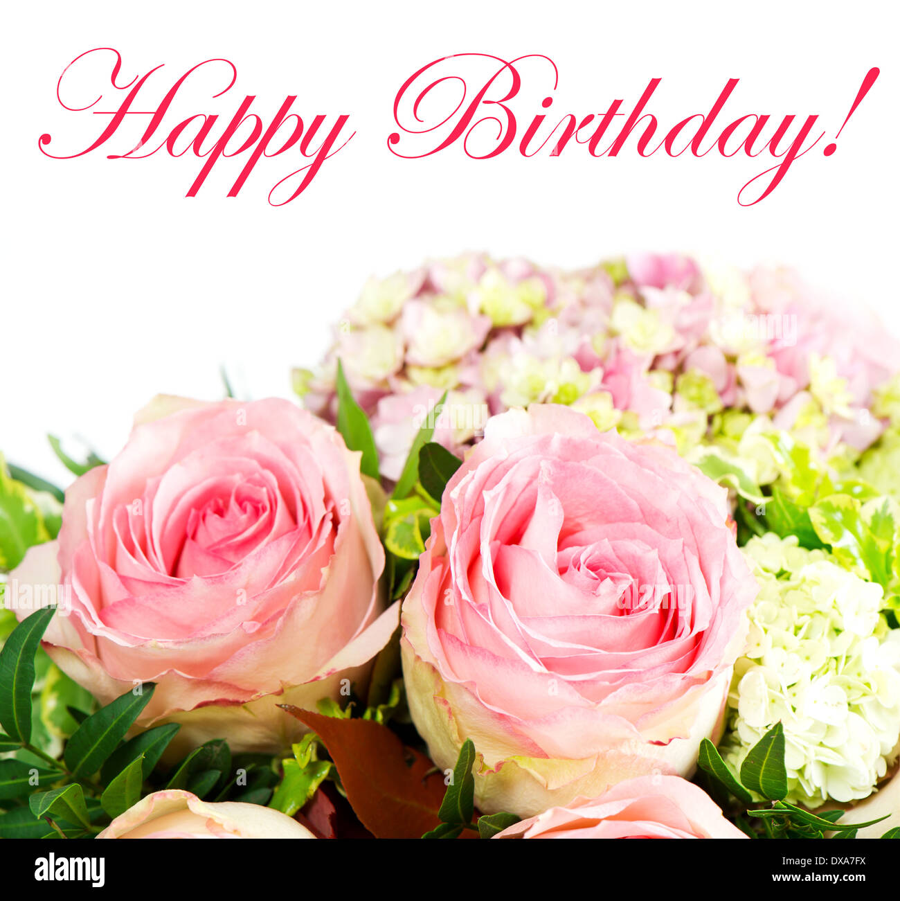beautiful fresh pink roses. birthday card concept Stock Photo - Alamy