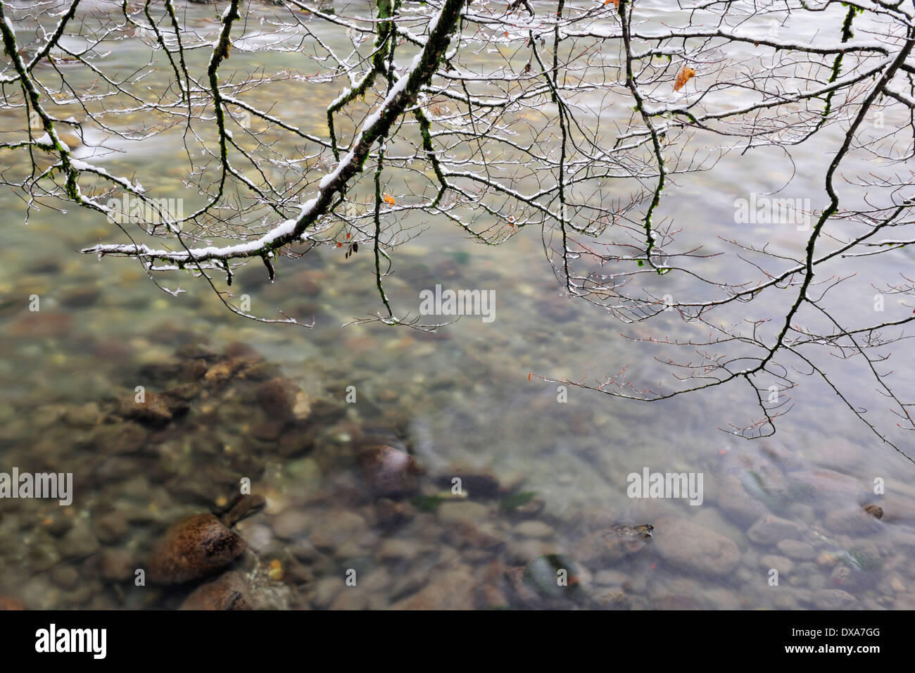 From under branches hi-res stock photography and images - Alamy
