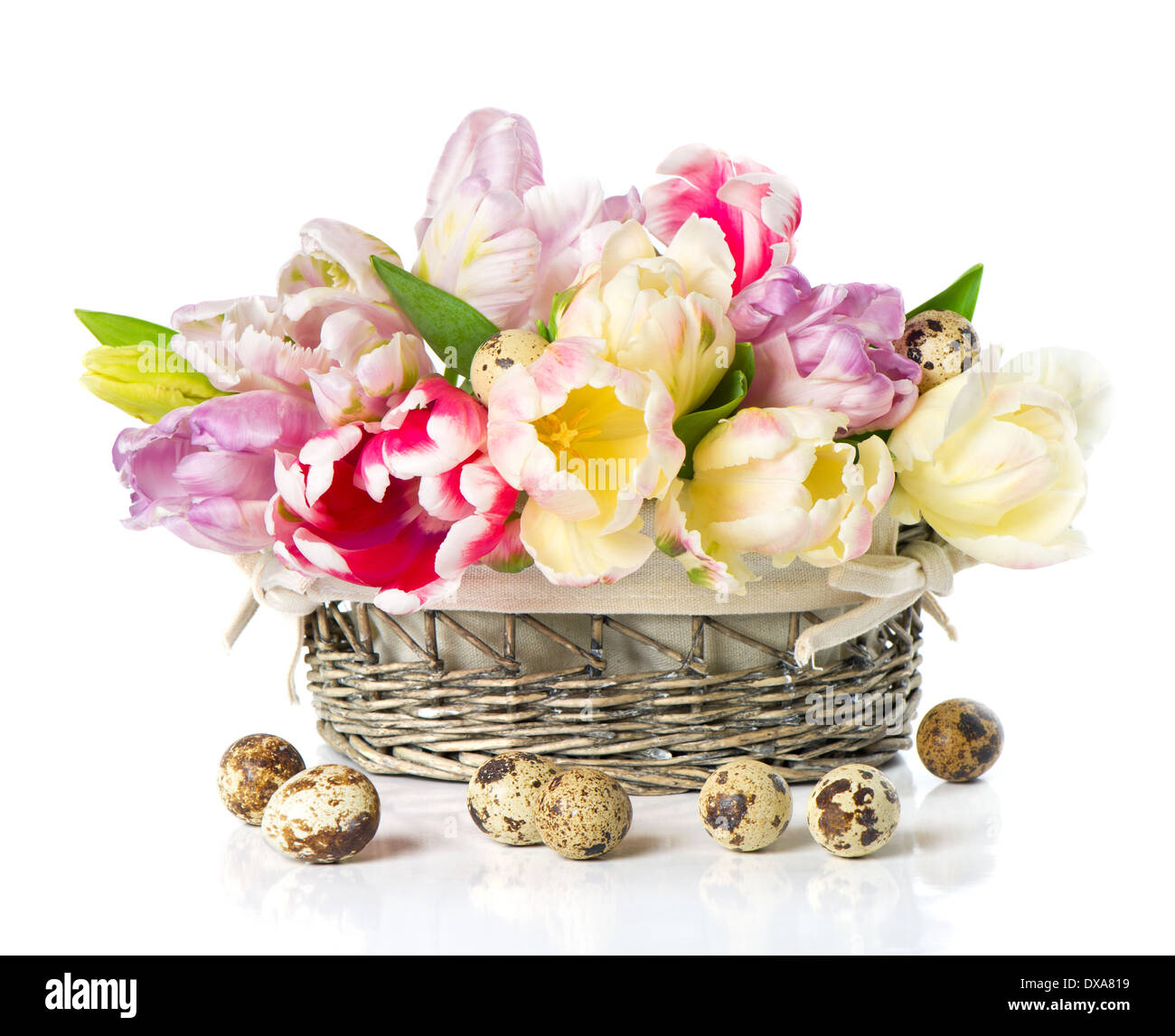 Easter eggs spring tulip Cut Out Stock Images & Pictures - Alamy