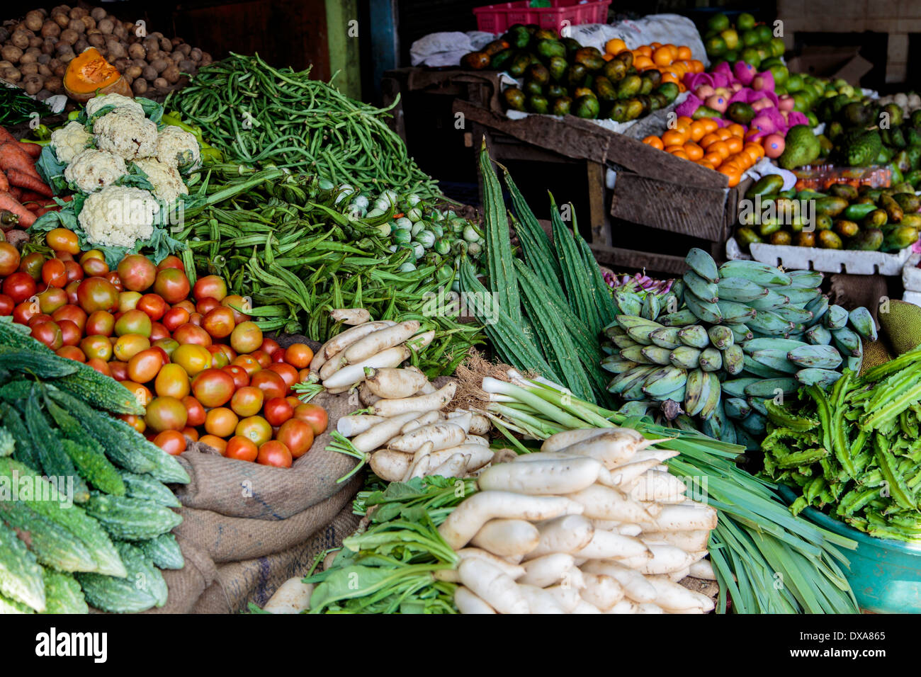 Knol khol hi-res stock photography and images - Alamy