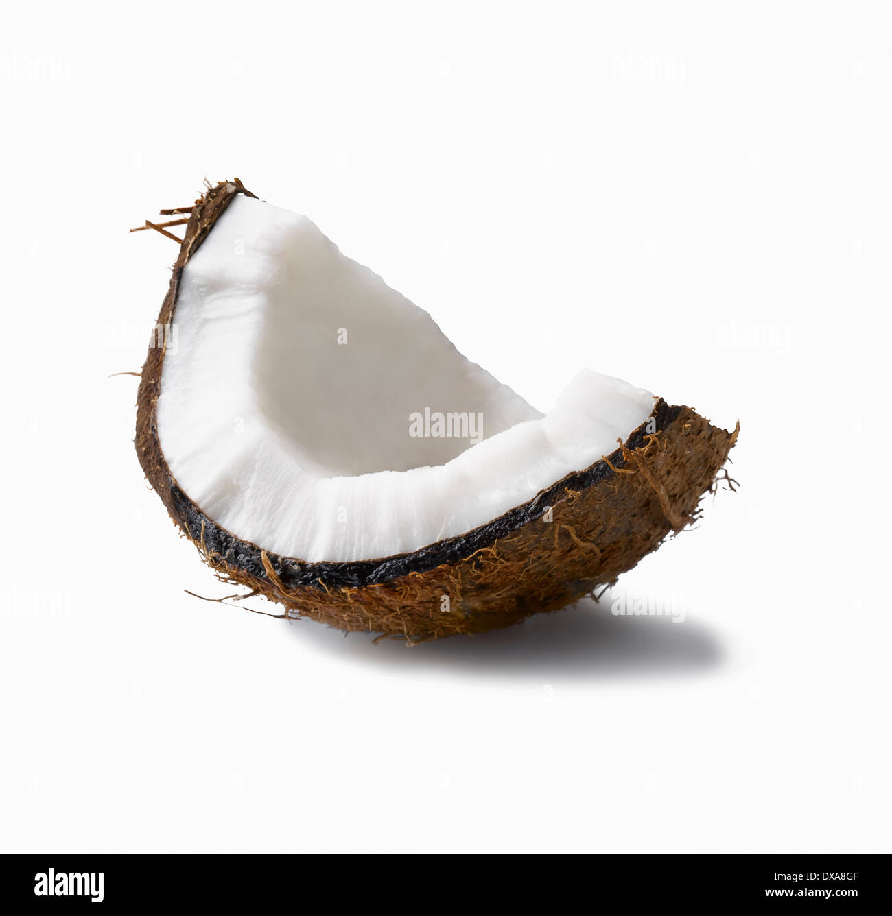 Coconut, Cocos nucifera, segment with shell with shadow against white ...