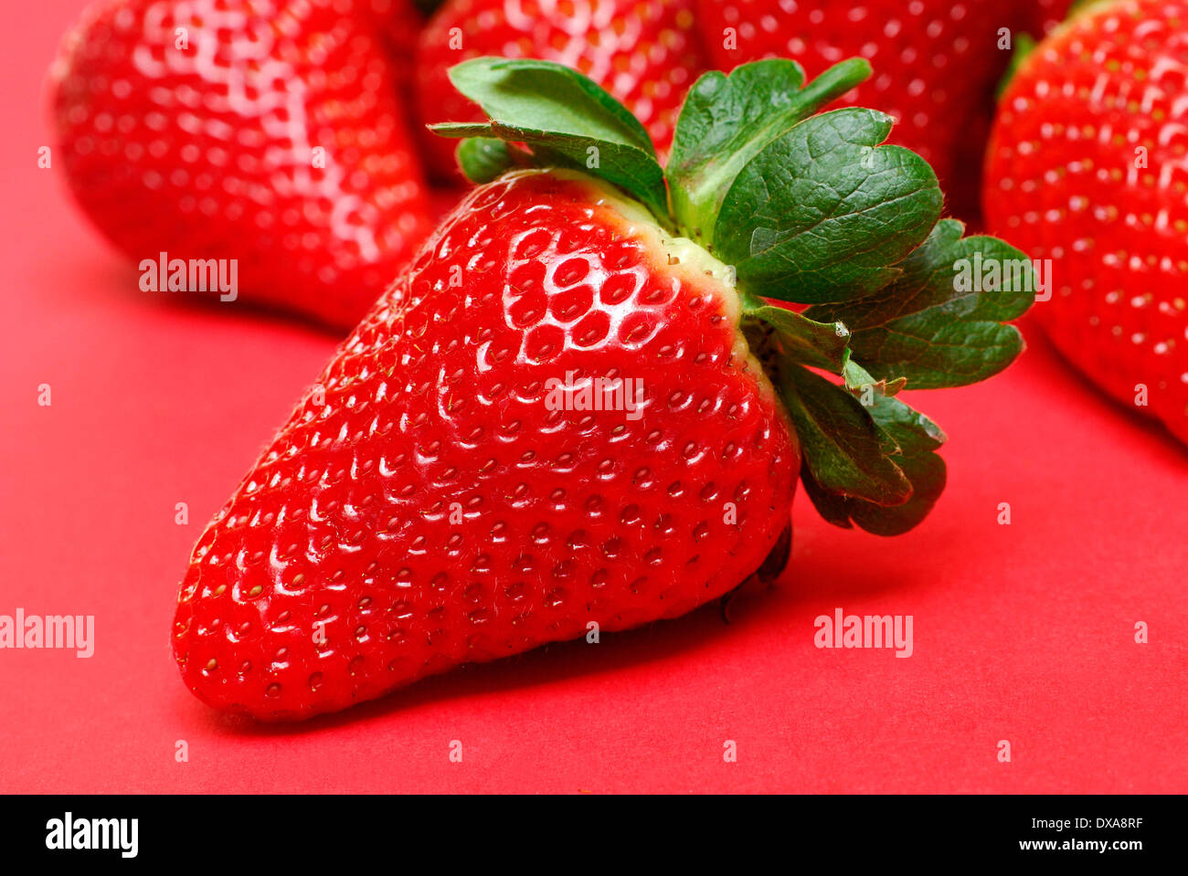 Horizontal strawberries hi-res stock photography and images - Alamy