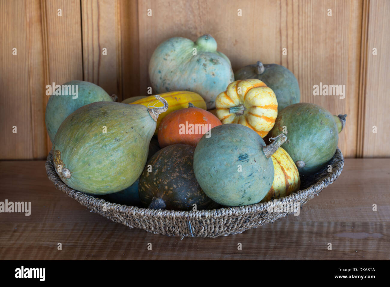 Basket of winter squash Stock Photo - Alamy